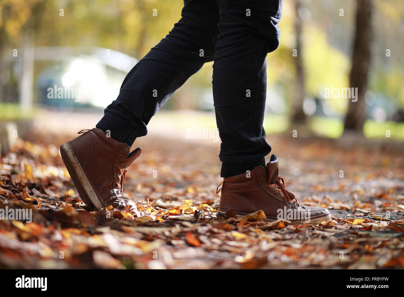 Autumn Park man walking along a path in foliage Stock Photo - Alamy