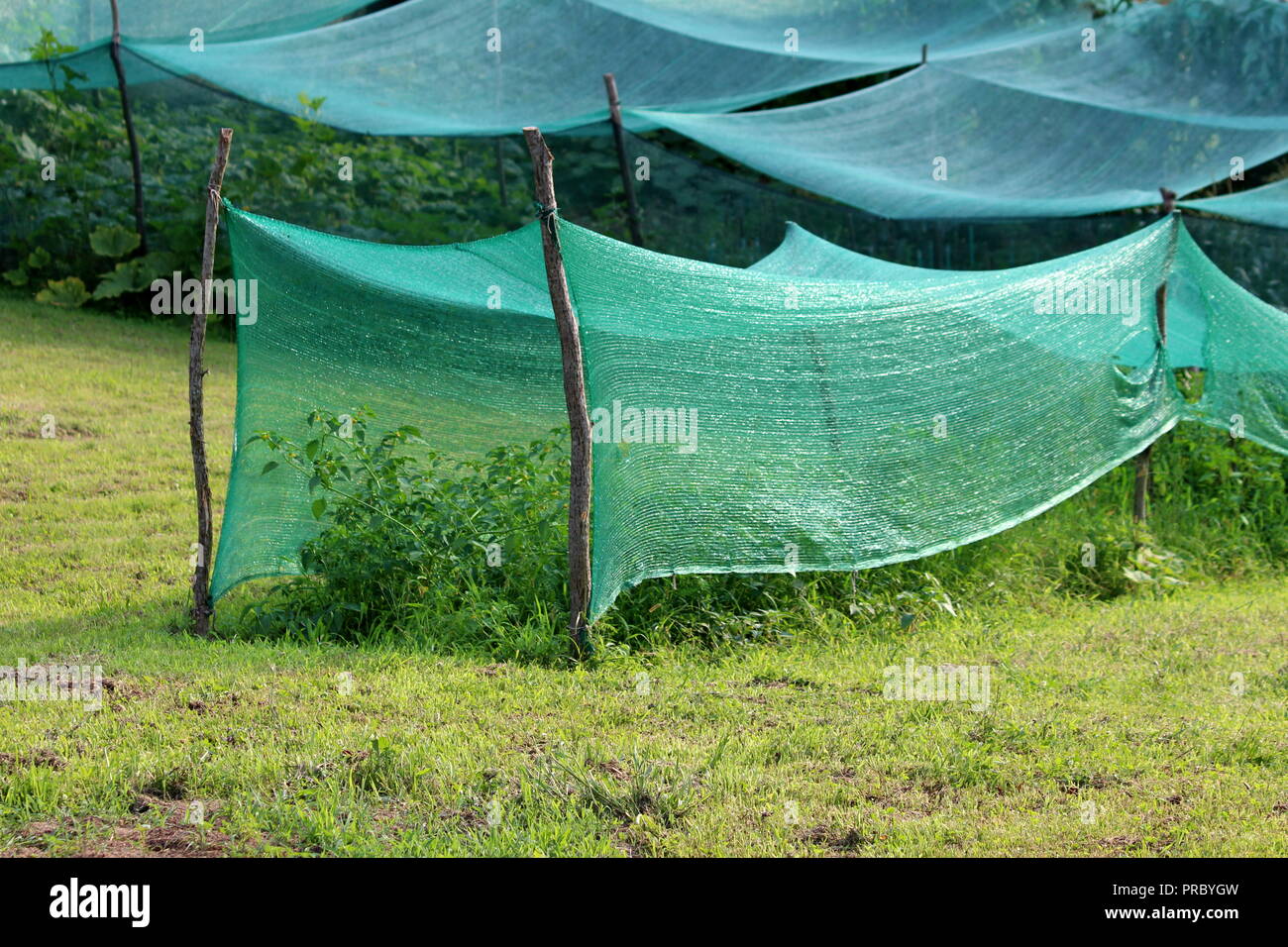 Net tunnel hi-res stock photography and images - Alamy