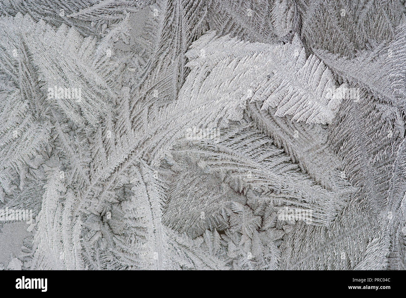 Abstract detail of the frost flower on the window Stock Photo - Alamy