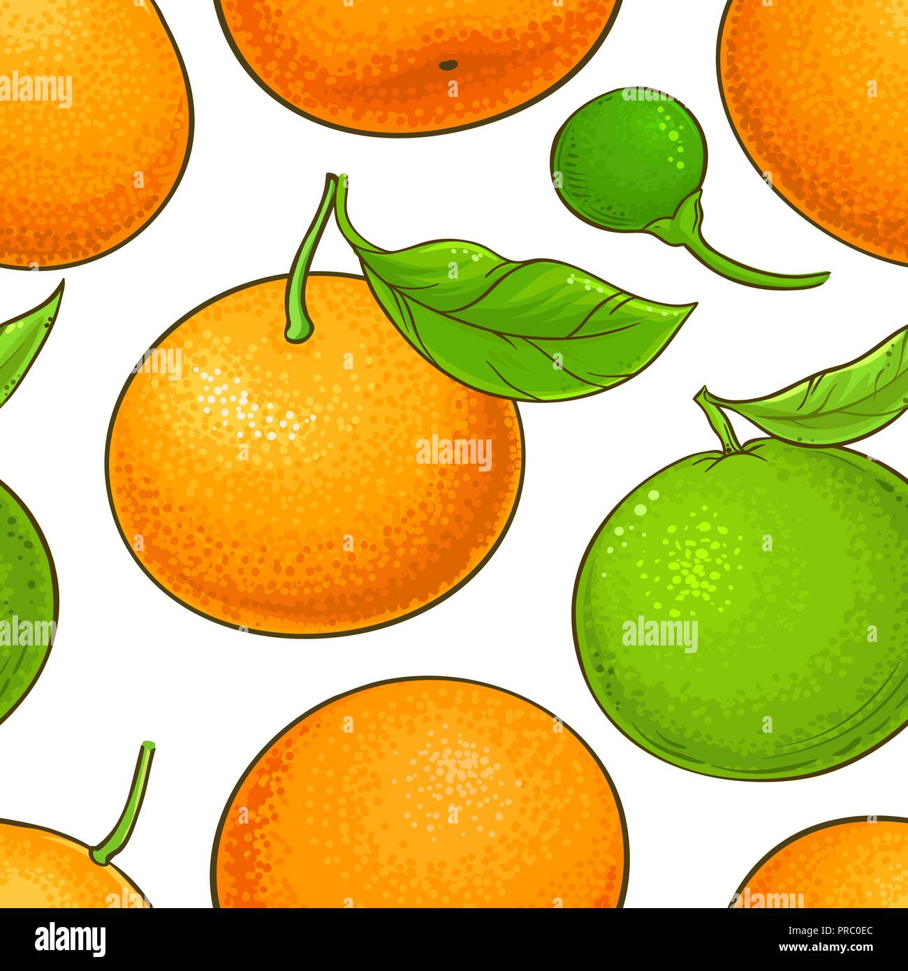 mandarin vector pattern on white background Stock Vector Image & Art ...