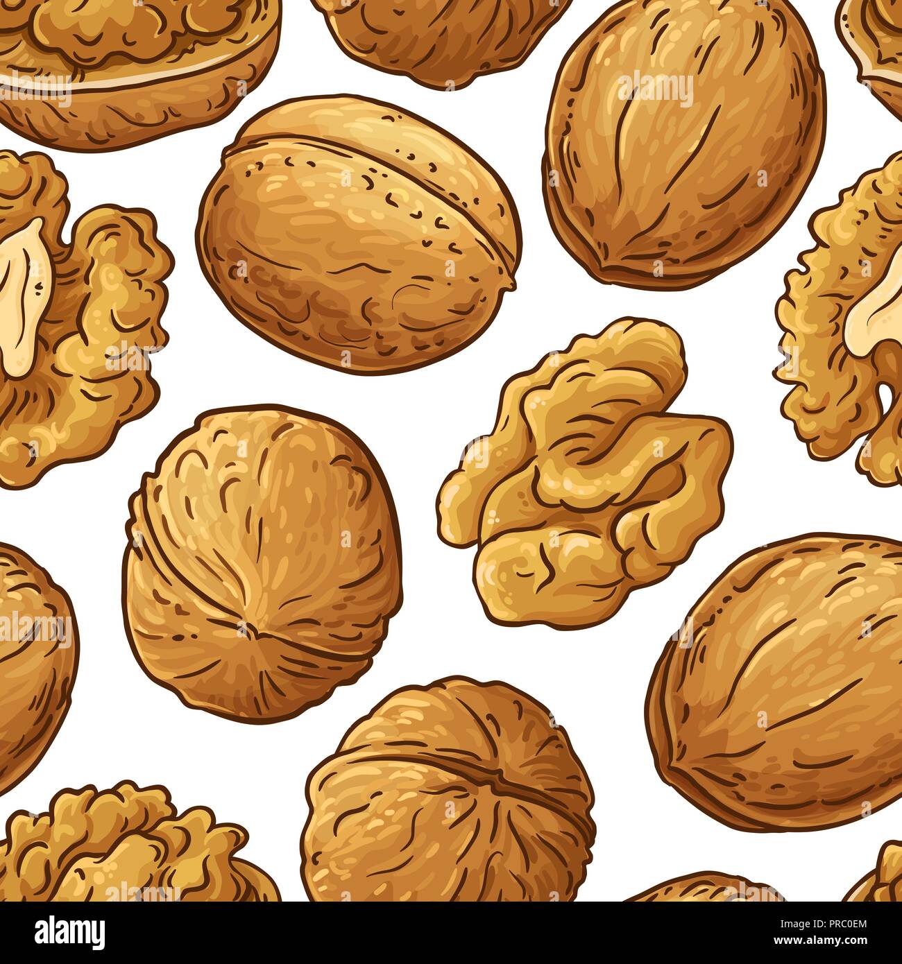 walnut vector pattern on white background Stock Vector Image & Art - Alamy