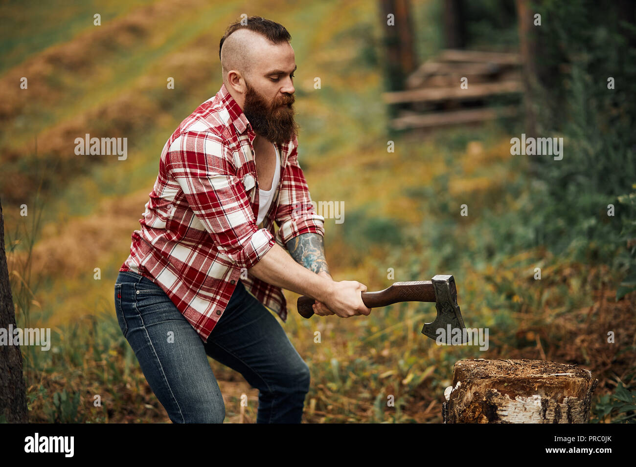 Strong woodcutter chopping wood in hi-res stock photography and images ...