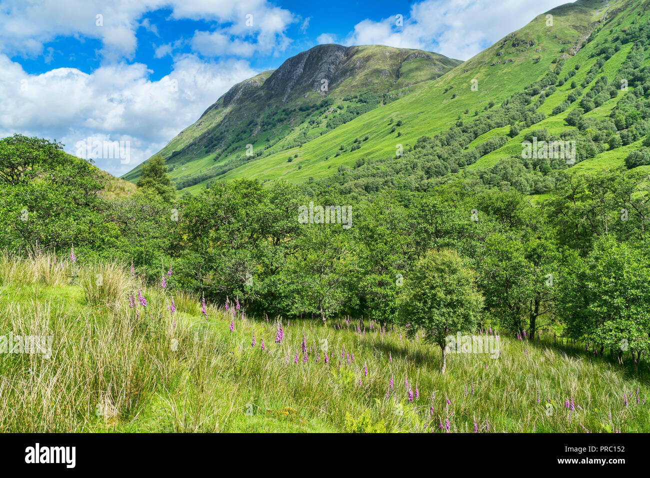 Fort william ben nevis scotland hi-res stock photography and images - Alamy
