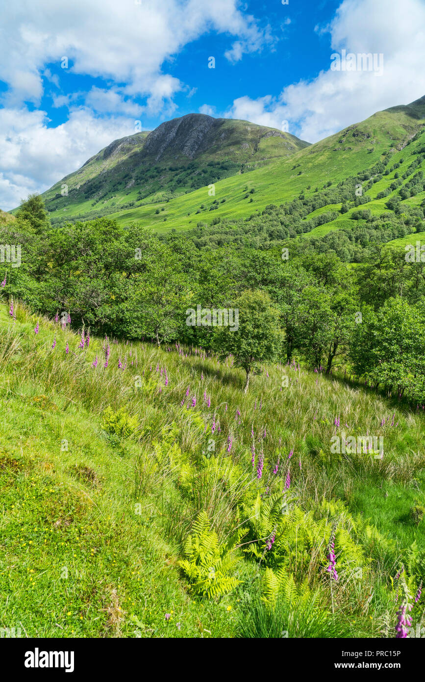 Fort william ben nevis scotland hi-res stock photography and images - Alamy