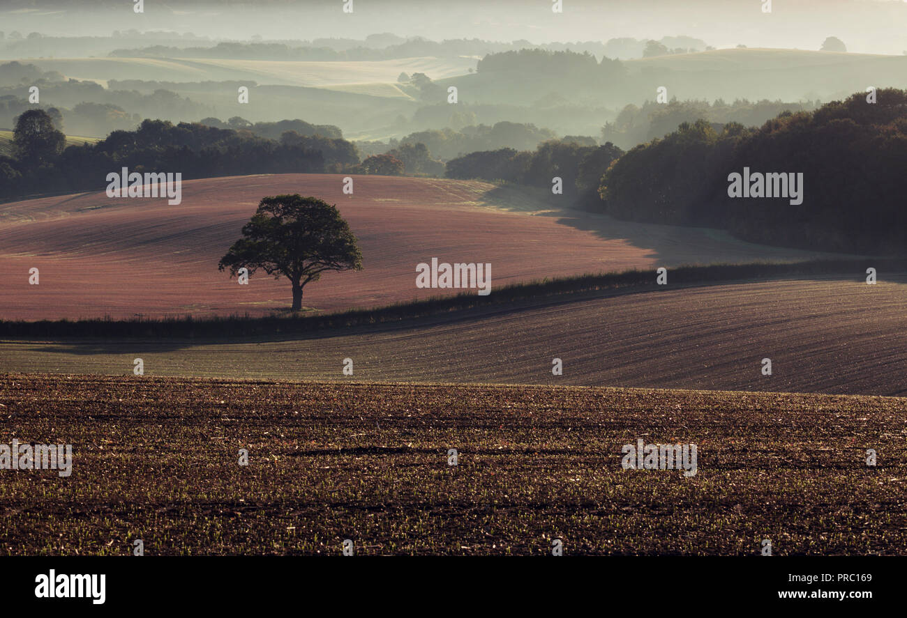 British Countryside High Resolution Stock Photography and Images - Alamy