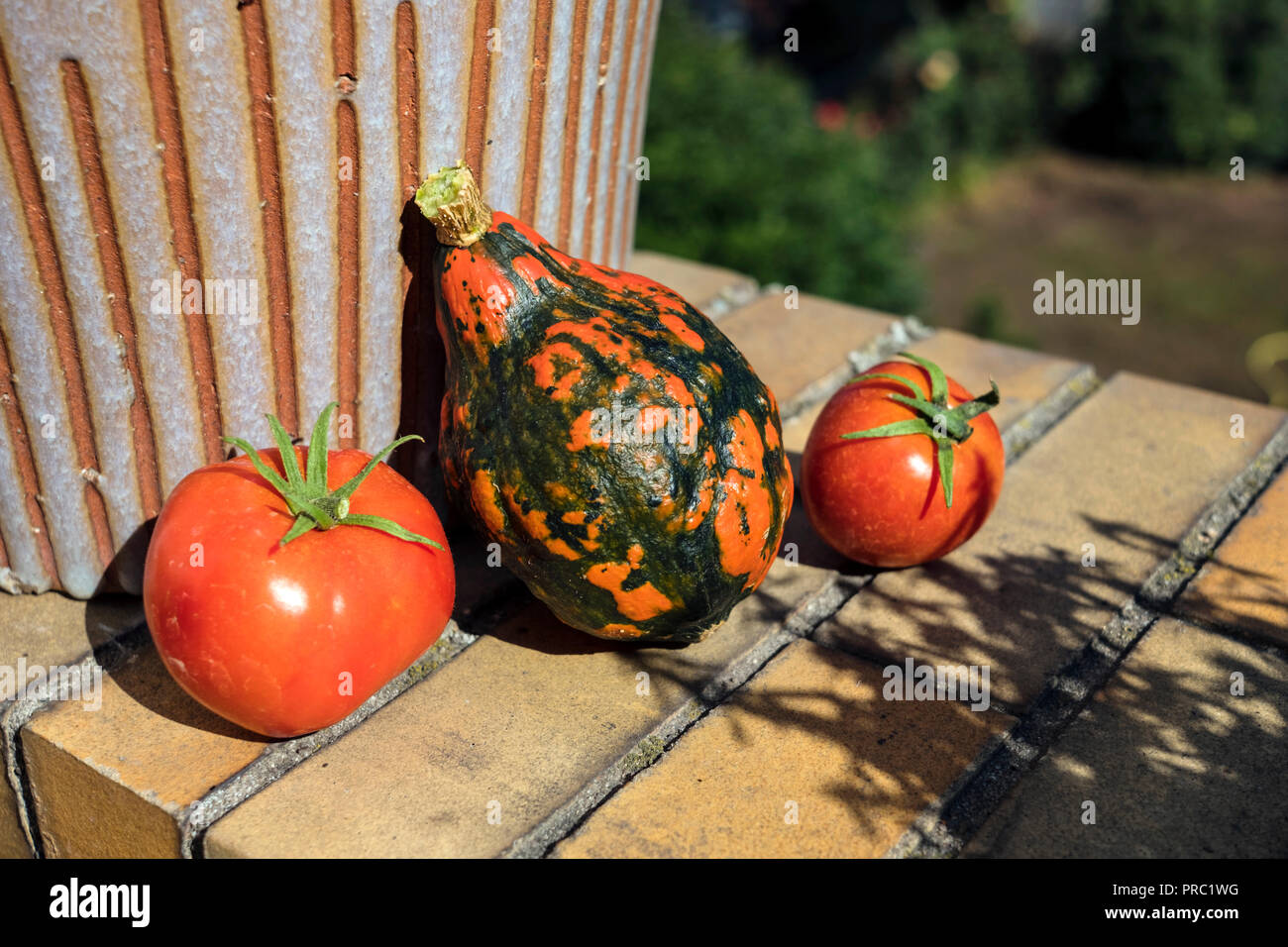 Japanese harvest festival hi-res stock photography and images - Alamy