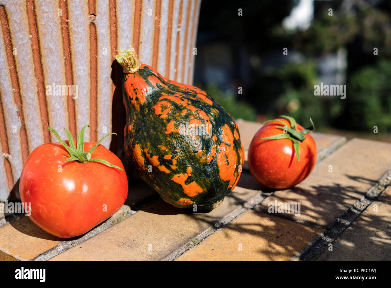 Japanese Harvest Festival High Resolution Stock Photography and Images ...