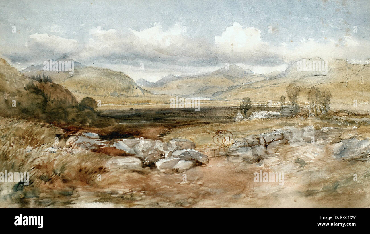 David cox ii hi-res stock photography and images - Alamy
