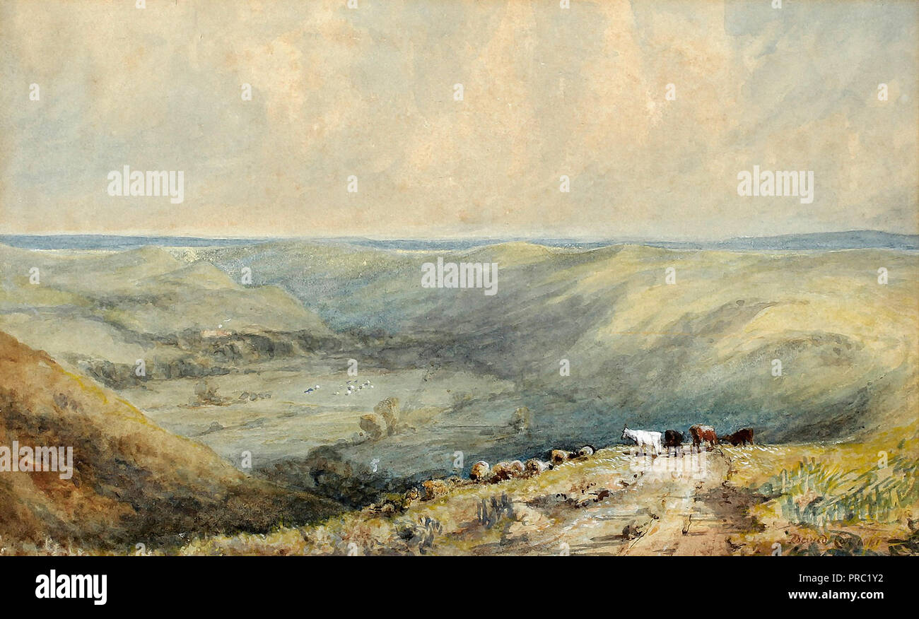 David cox ii hi-res stock photography and images - Alamy
