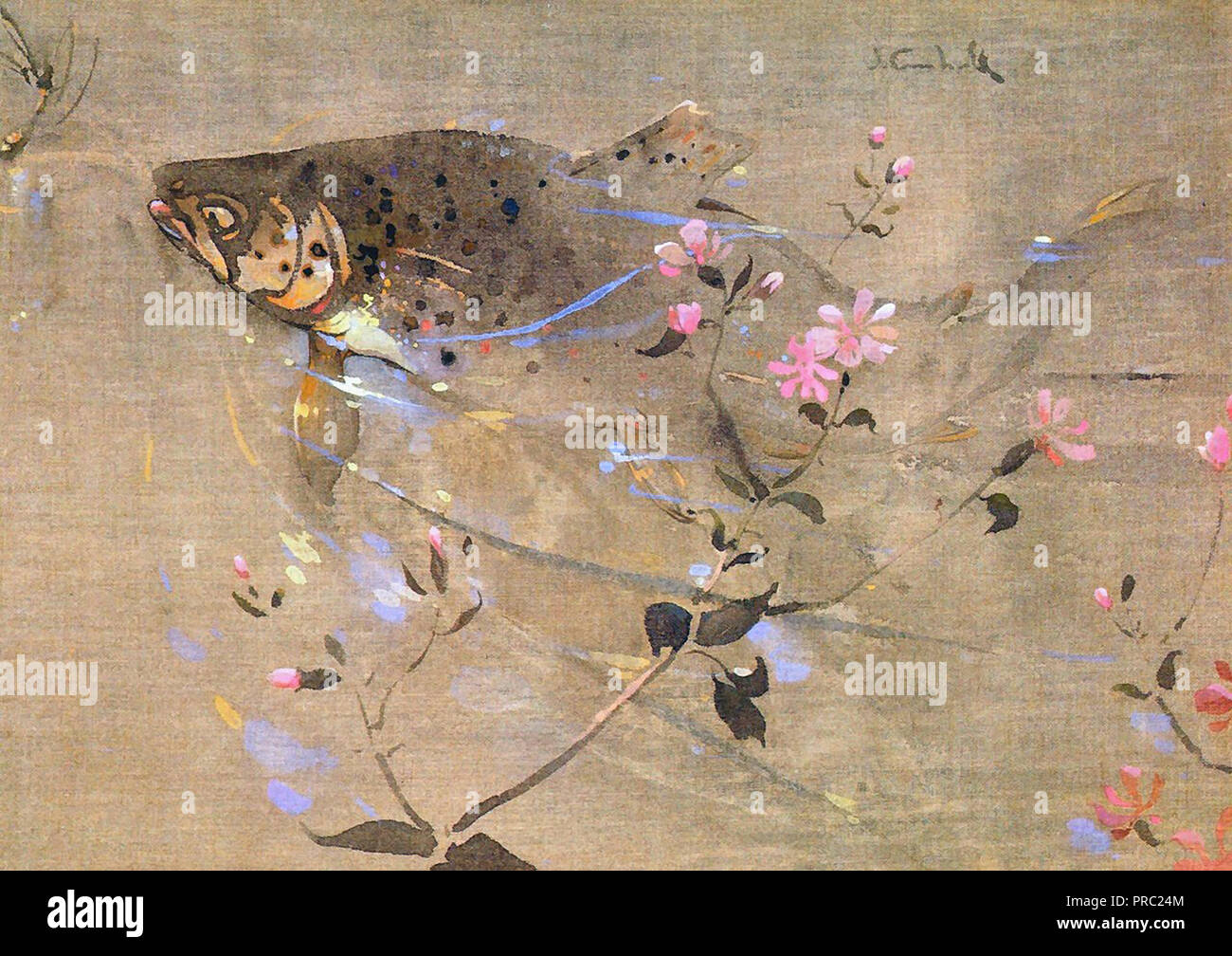 Crawhall Joseph - a Trout Rising Stock Photo - Alamy