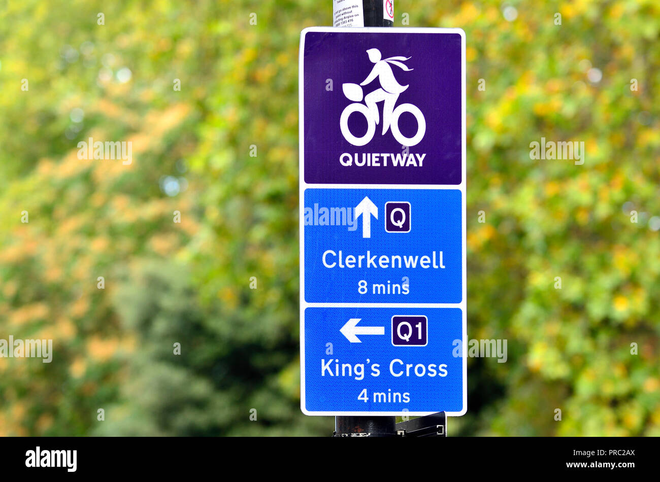 Quietway Cycle Path In Bloomsbury London England UK Stock Photo Alamy quietway-cycle-path-in-bloomsbury-london-england-uk-stock-photo-alamy