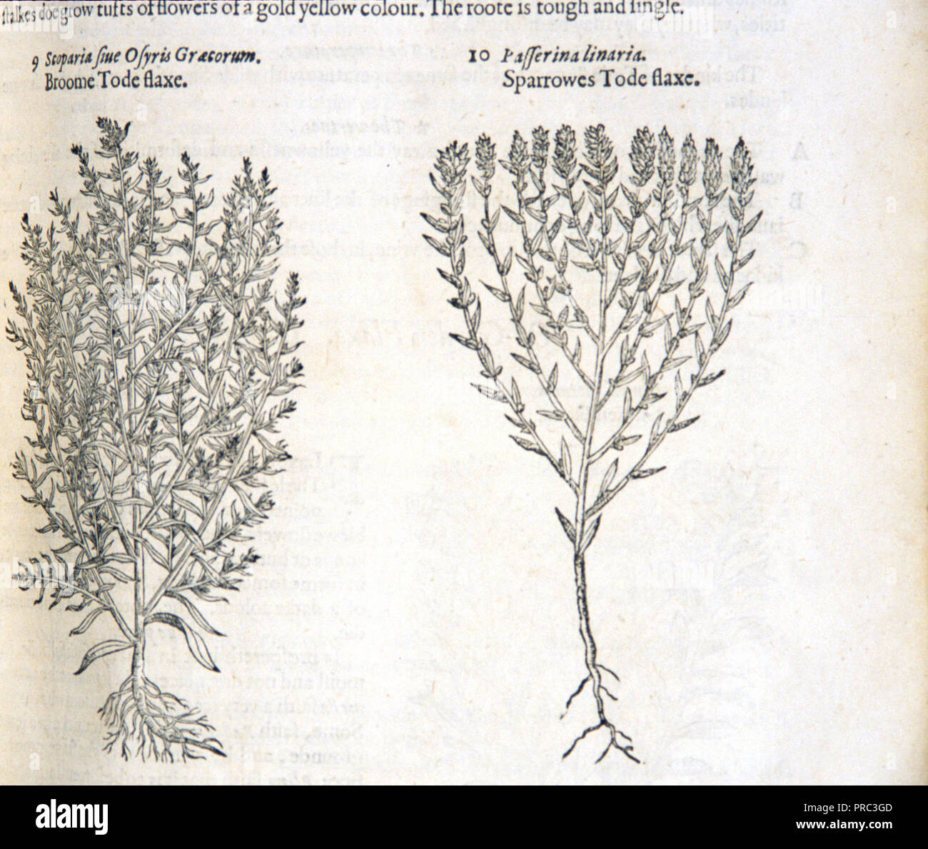 Two separate drawings hi-res stock photography and images - Alamy