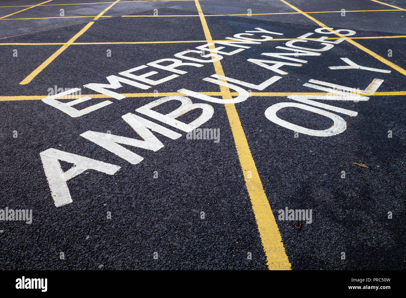 The rotherham nhs foundation trust hi-res stock photography and images ...