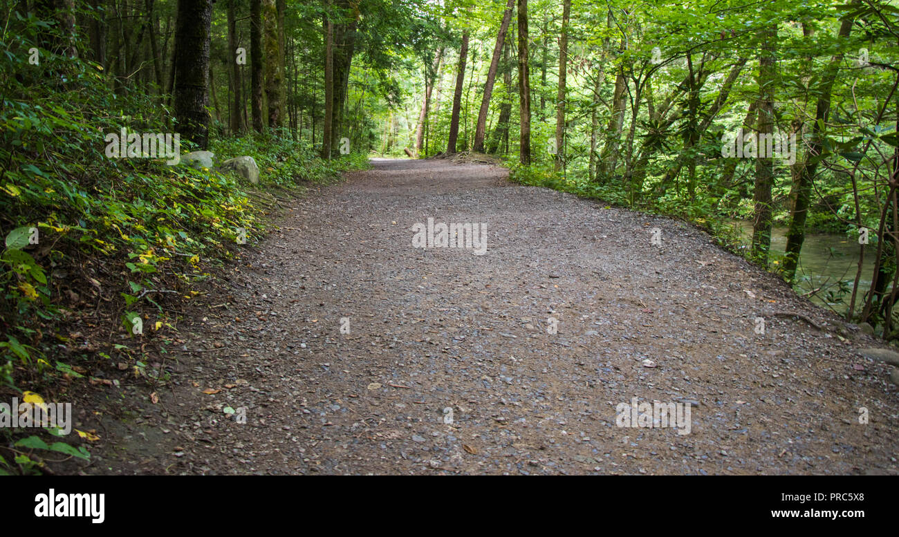 Appalachian trail woods walk hi-res stock photography and images - Alamy