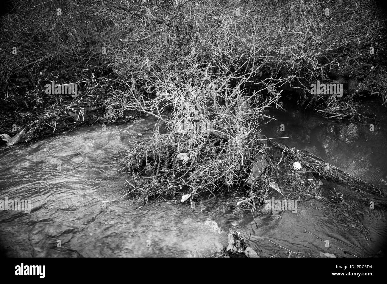Stream Bank & Sky Reflections Stock Photo - Alamy