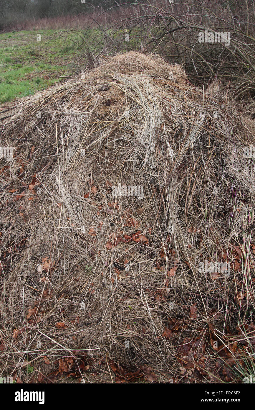Grass Pile in the Country Stock Photo - Alamy