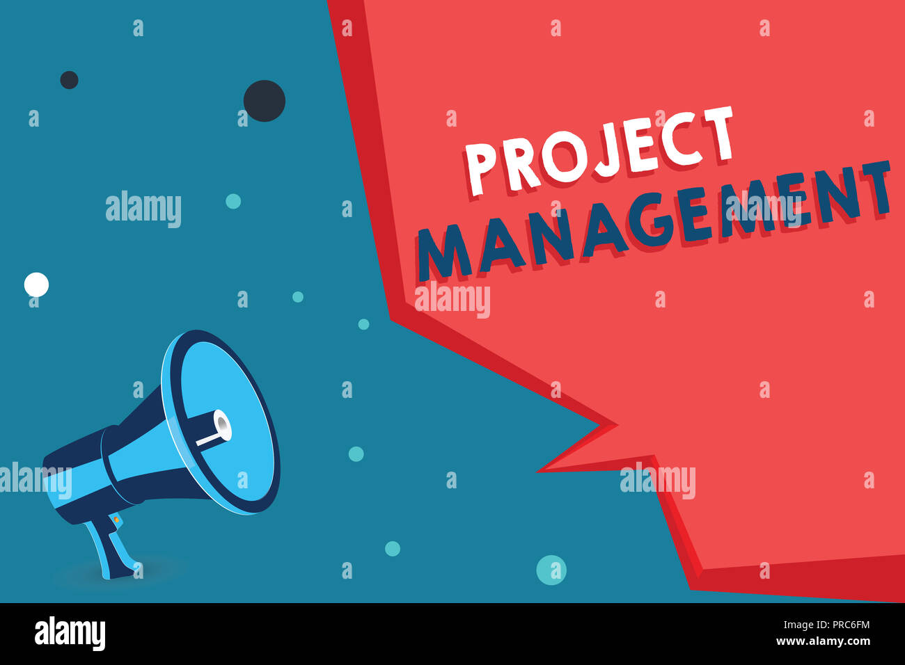 Word Writing Text Project Management Business Concept For Application Process Skills To Achieve