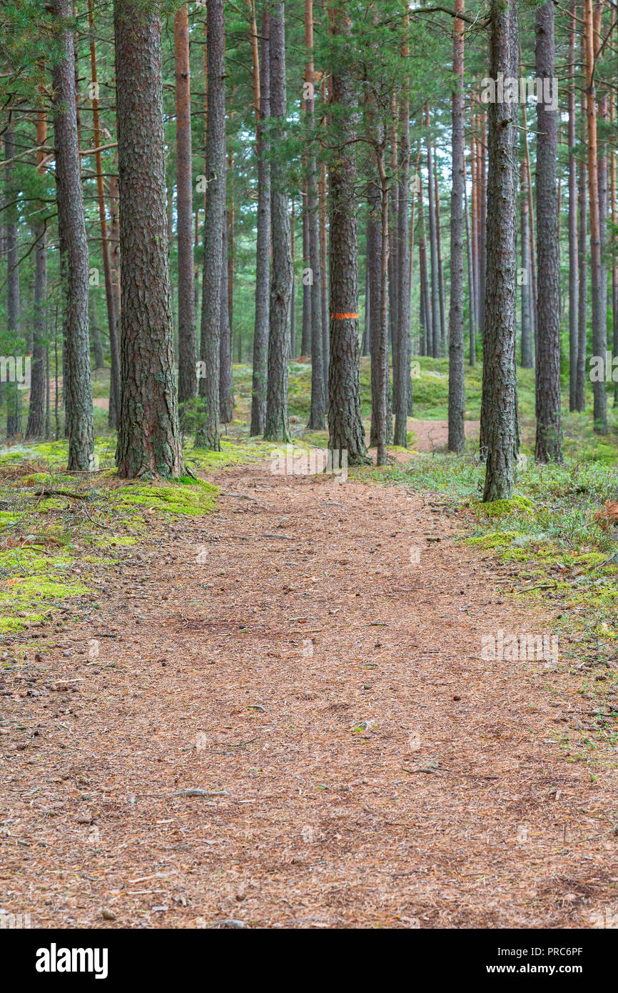 Hiking trial view hi-res stock photography and images - Alamy
