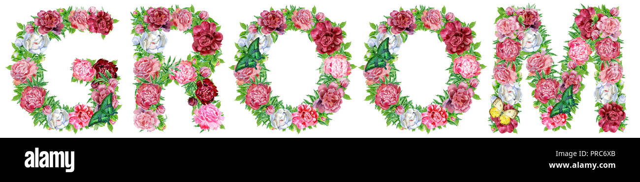 Word Groom of watercolor flowers, isolated hand drawn on a white ...