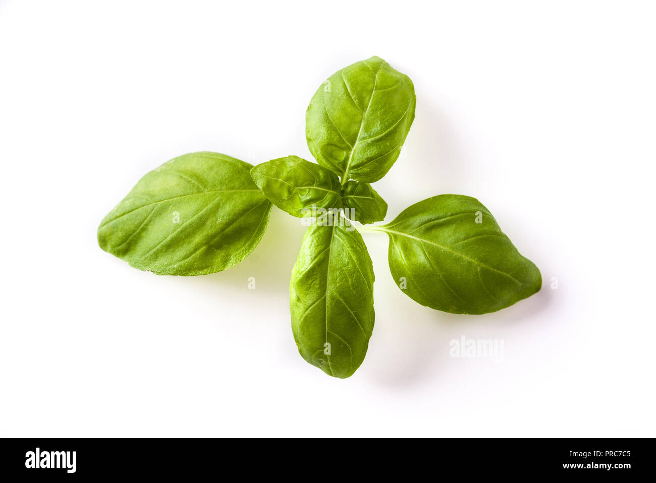 Fresh basil leaf isolated on white background. Top view Stock Photo - Alamy