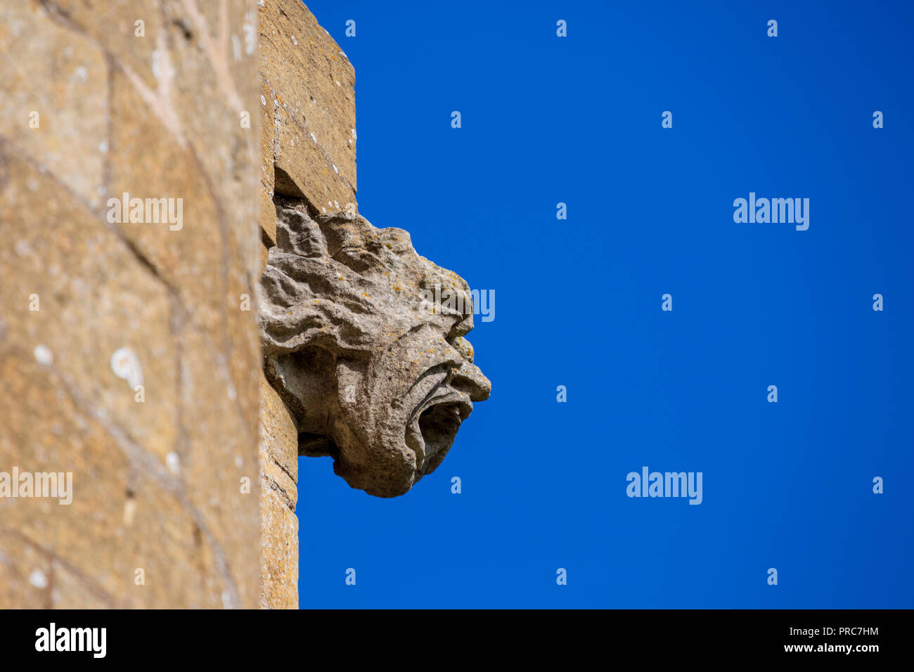 Gargoyle tower hi-res stock photography and images - Alamy