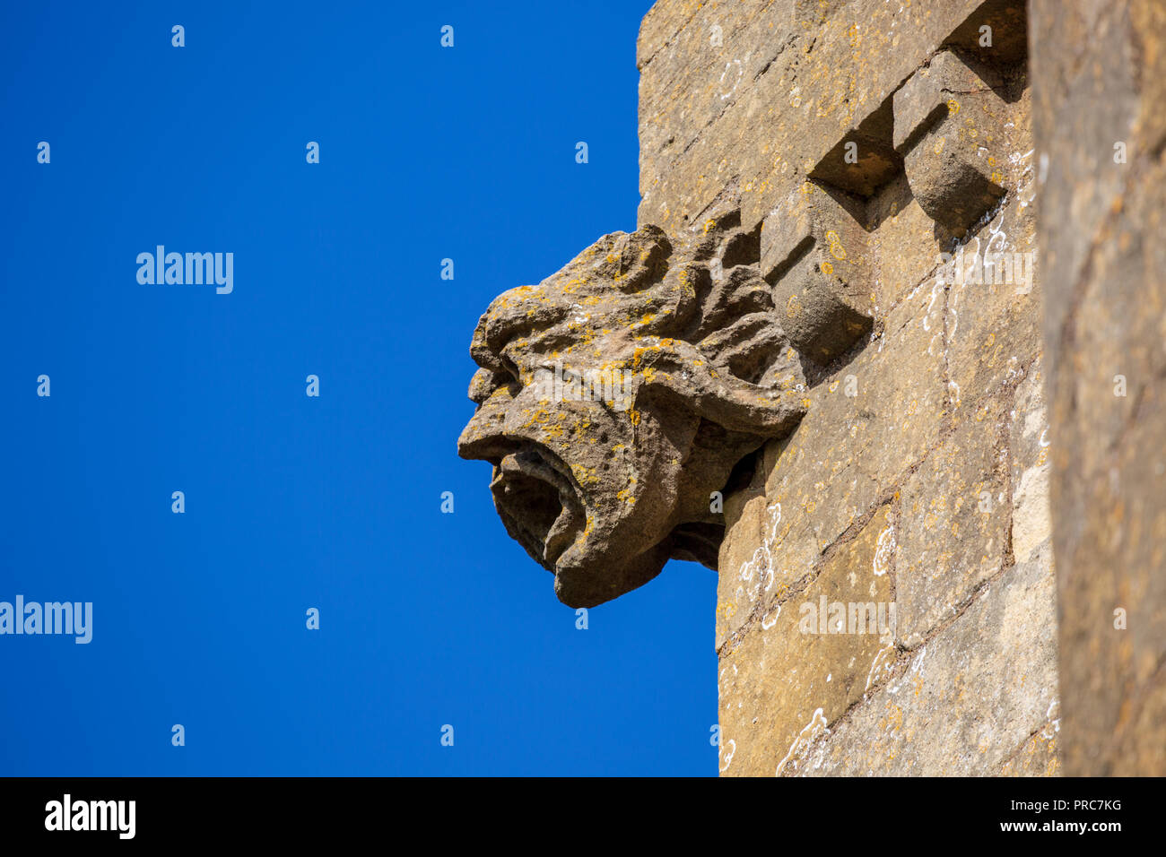 Gargoyle Tower High Resolution Stock Photography and Images - Alamy