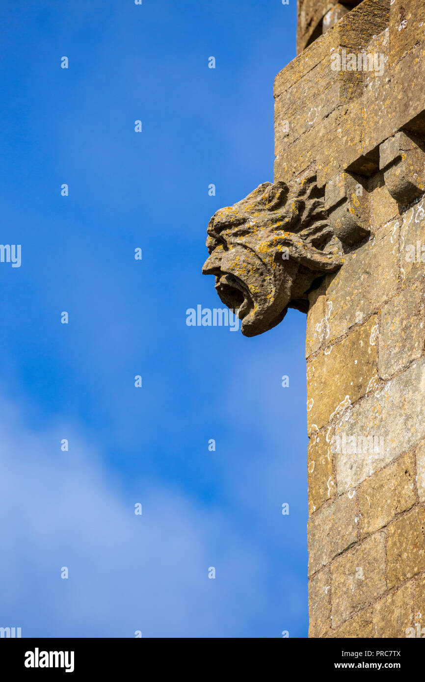 A carved stone Gargoyle on Broadway Tower, Cotswolds, England Stock ...