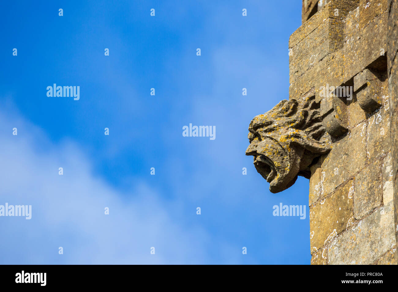 A carved stone Gargoyle on Broadway Tower, Cotswolds, England Stock ...