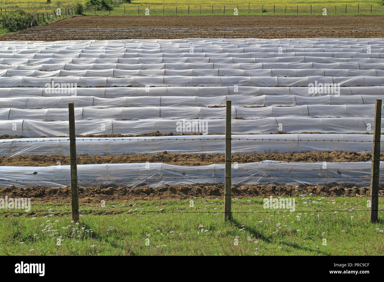 Floating row covers hi-res stock photography and images - Alamy