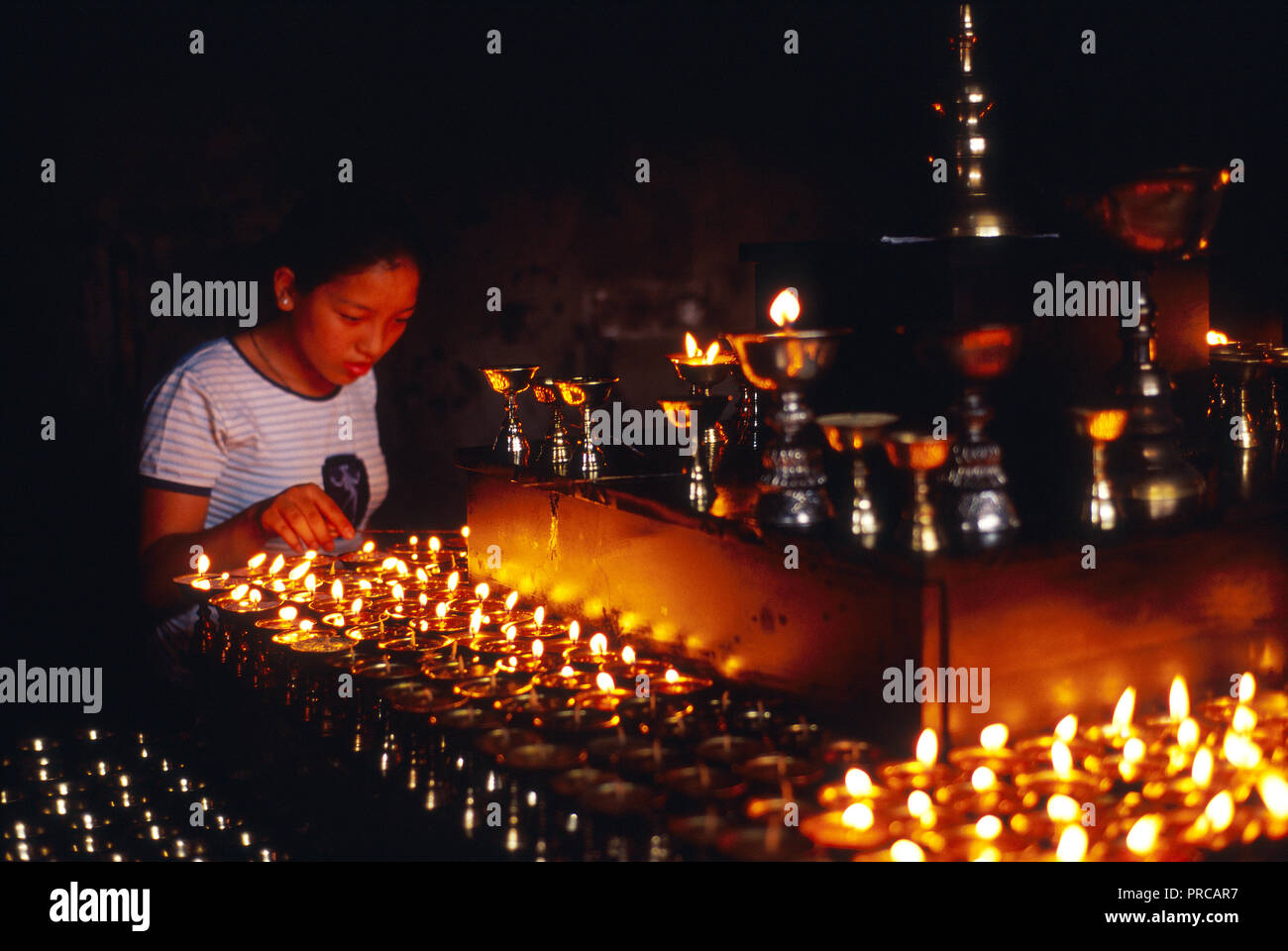Young buddhist woman lighting butter lamps in a tibetan buddhist shrine ...