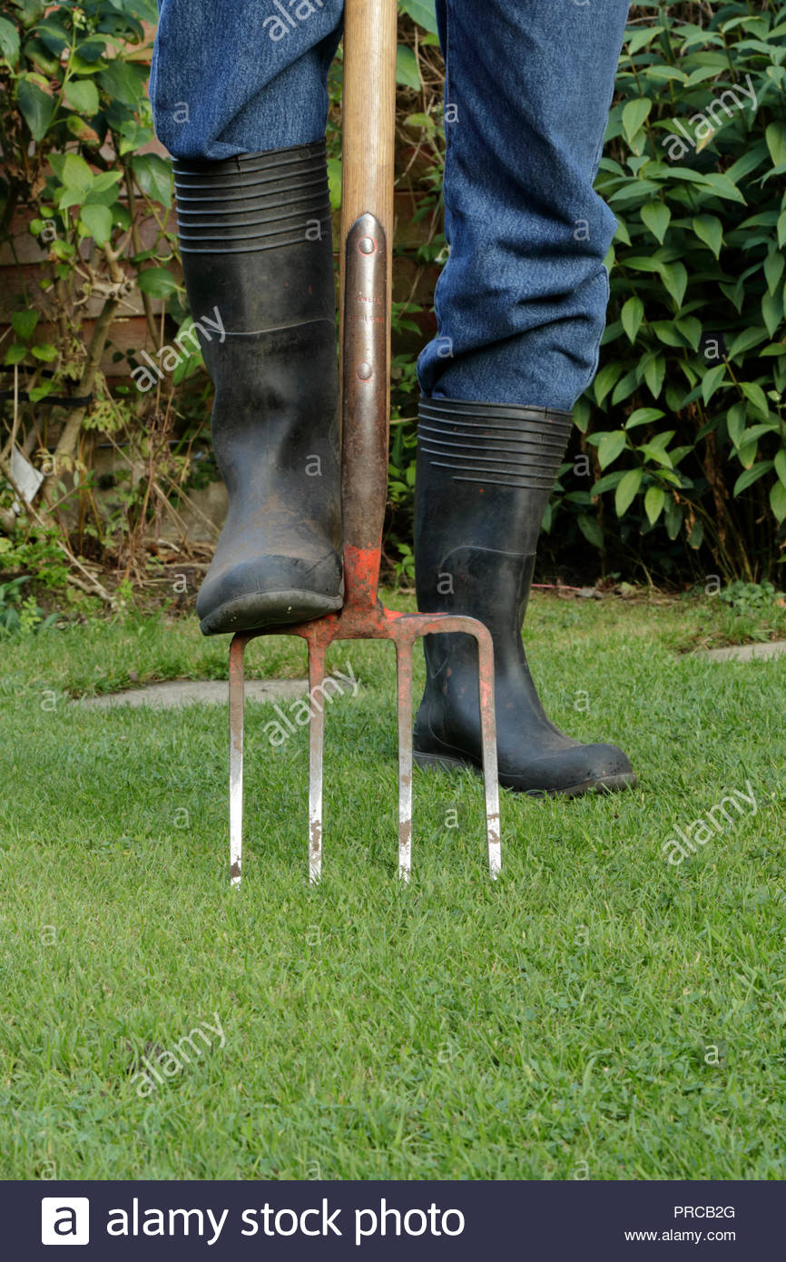 Lawn Maintenance High Resolution Stock Photography and Images - Alamy