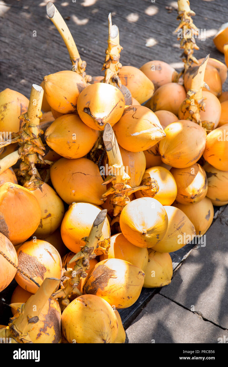 Royal yellow coconuts on branches in the market Stock Photo - Alamy