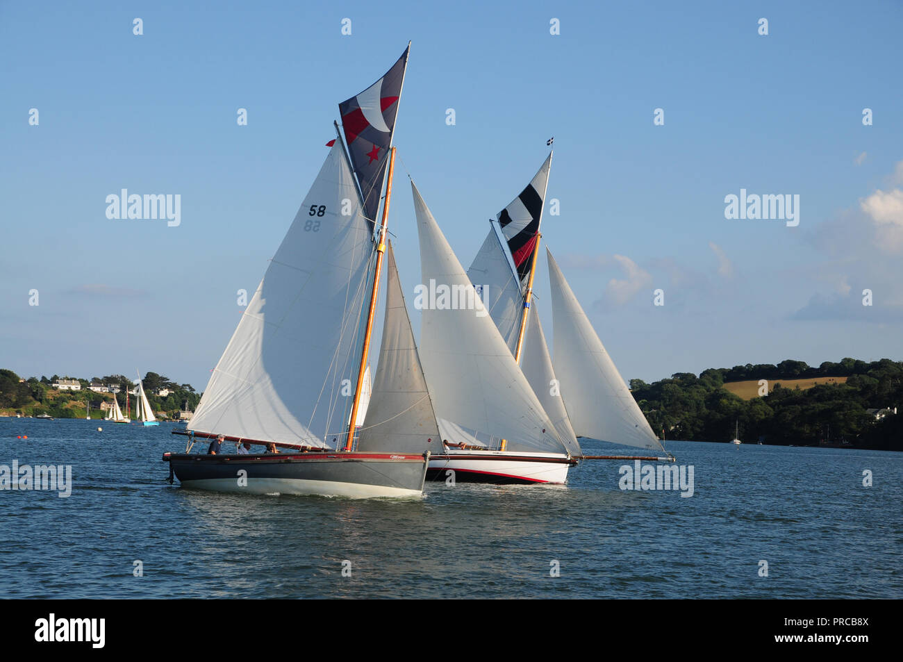 Traditional Falmouth working boats under sail competing in a regatta in ...