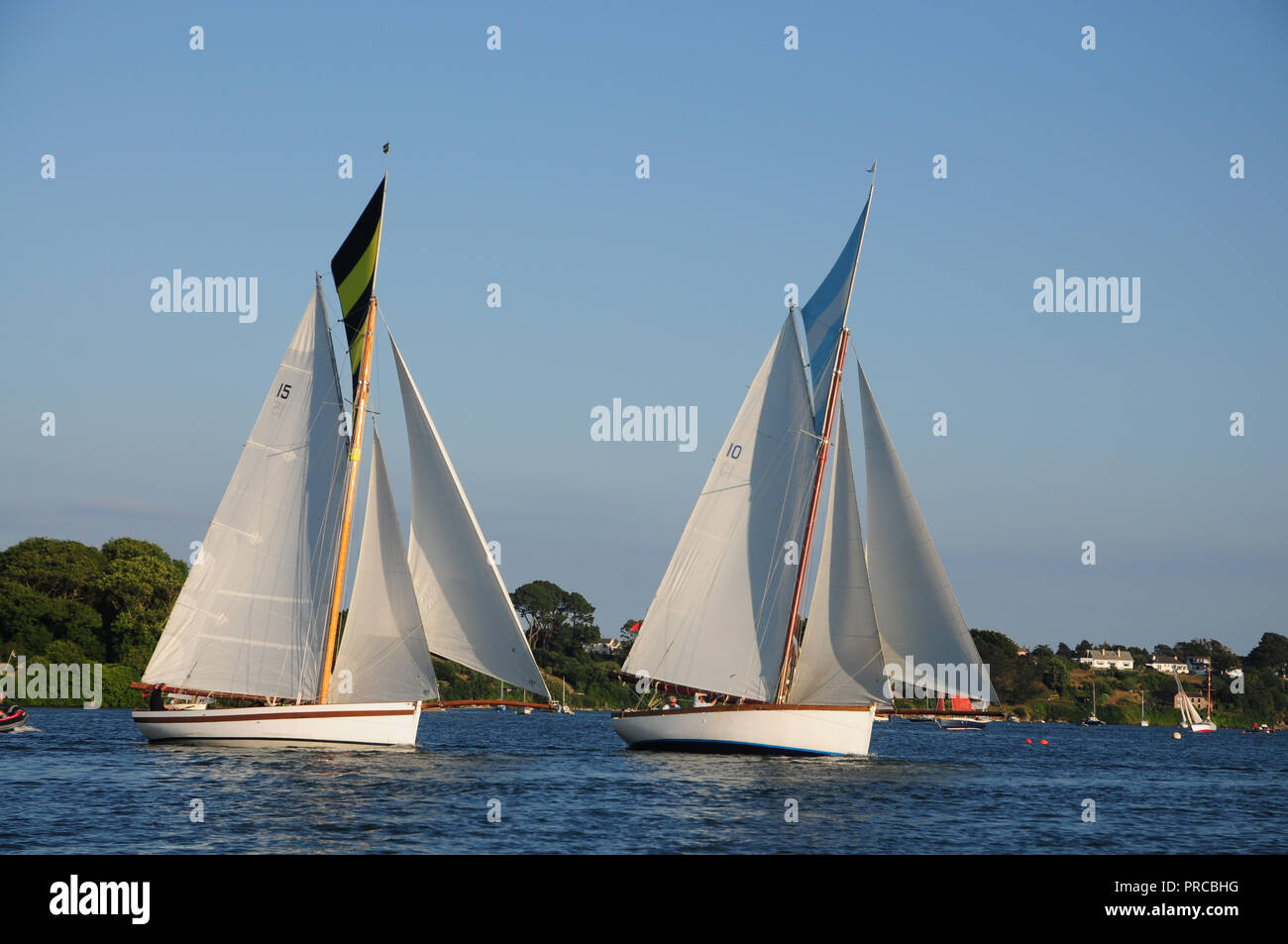 Traditional Falmouth working boats sailing in a regatta in the Fal ...