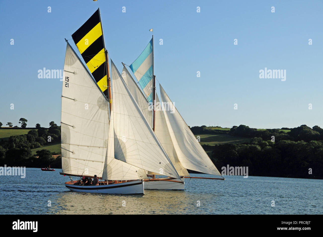 Traditional Falmouth working boats competing in a regatta in the Fal ...