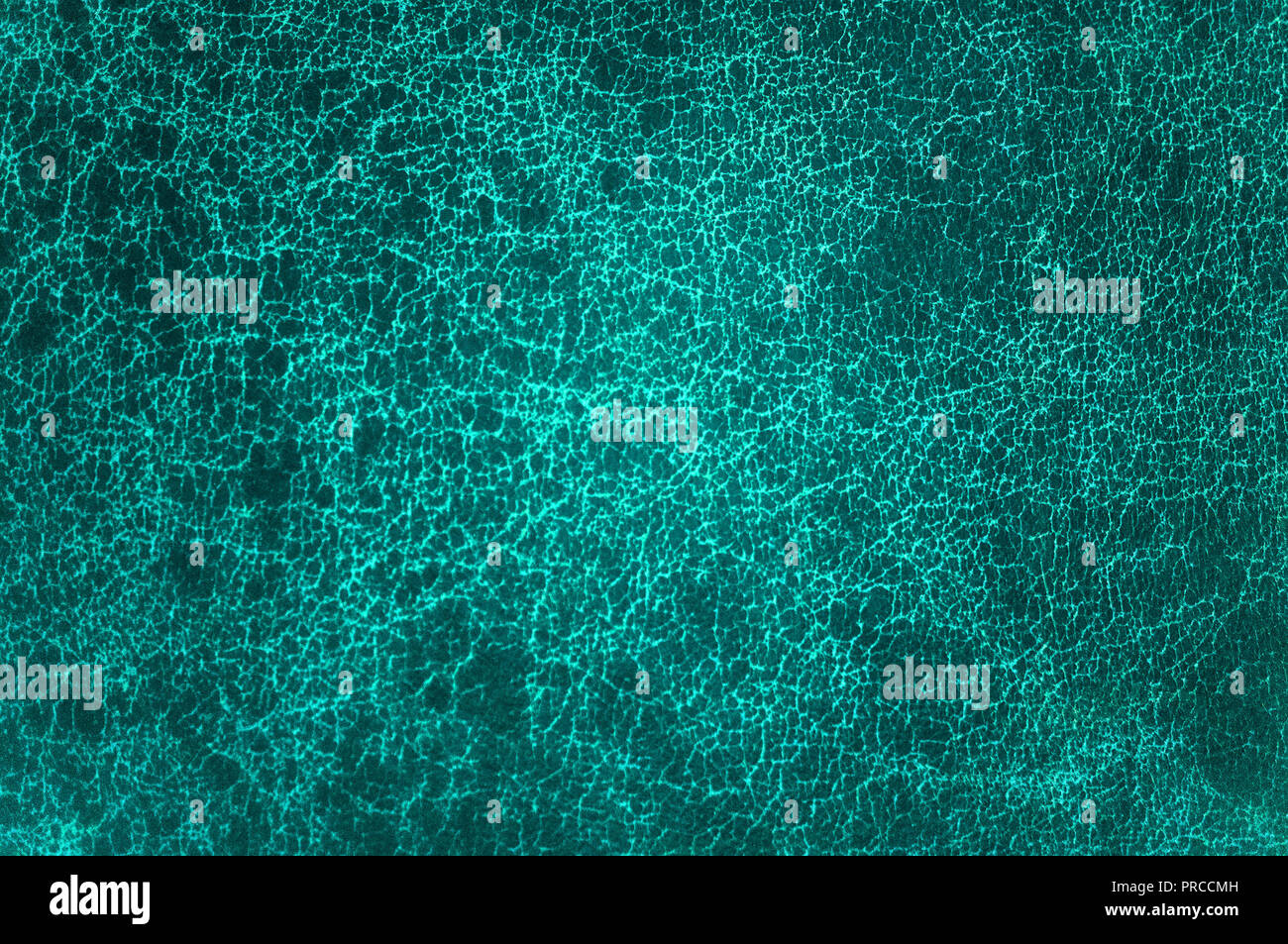Beautiful Blue skin texture close-up. Horizontal frame Stock Photo - Alamy