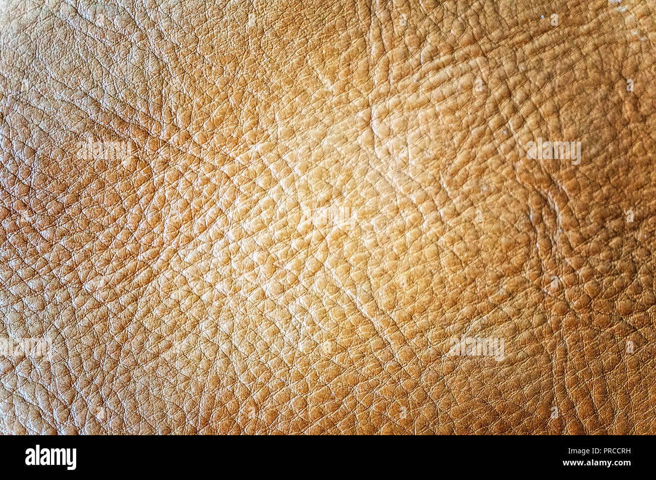 Beautiful beige skin texture close-up. Horizontal frame Stock Photo - Alamy