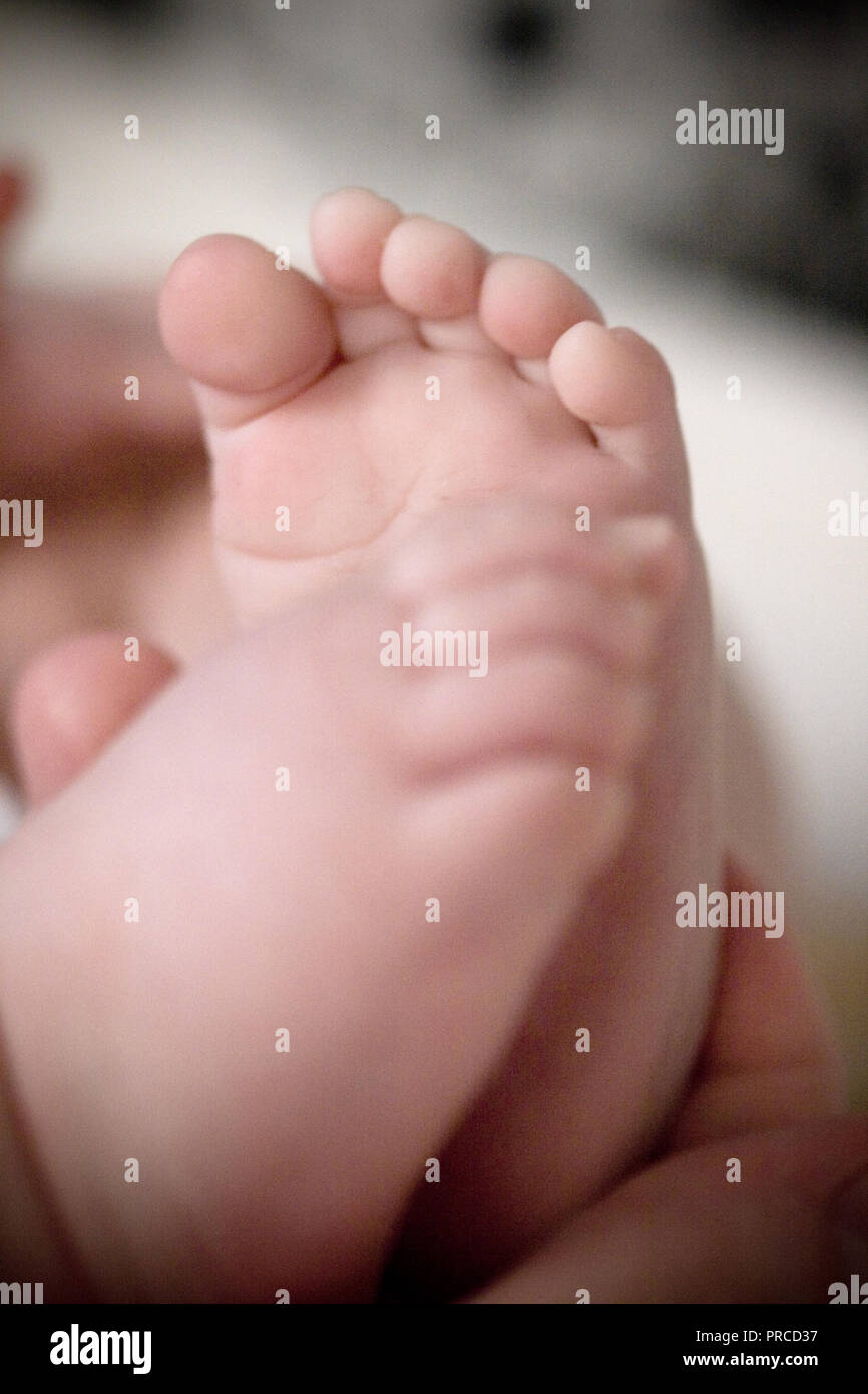 closeup image of baby's feet Stock Photo - Alamy