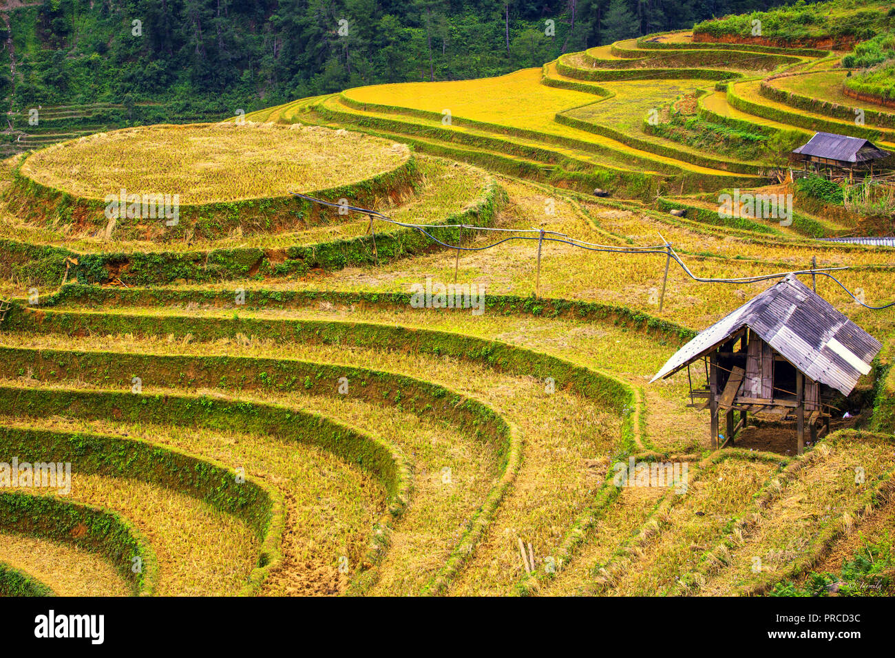 Mù Cang Chải District Stock Photo - Alamy
