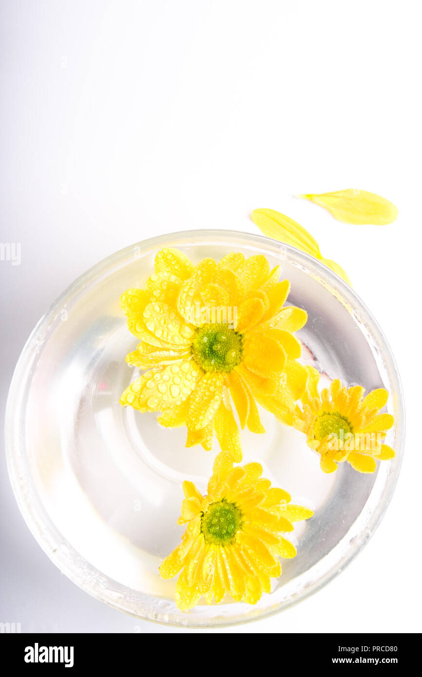 yellow flowers floating in water and petals Stock Photo - Alamy