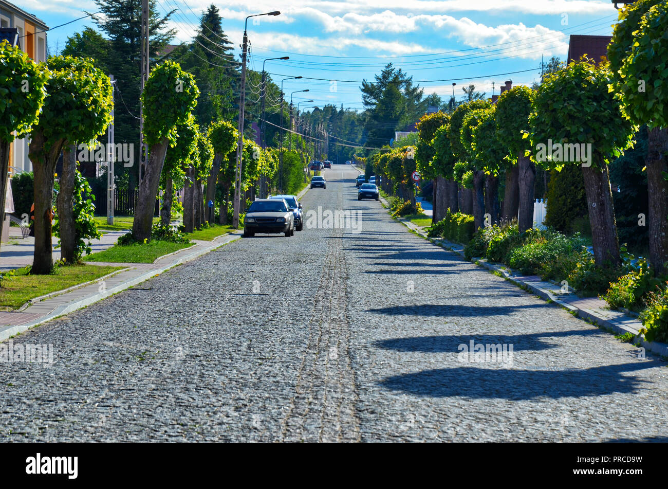 Trees alongside road hi-res stock photography and images - Alamy