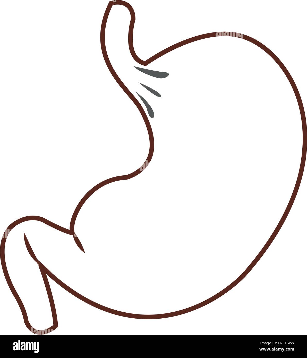 Esophageal ulcer Stock Vector Images - Alamy