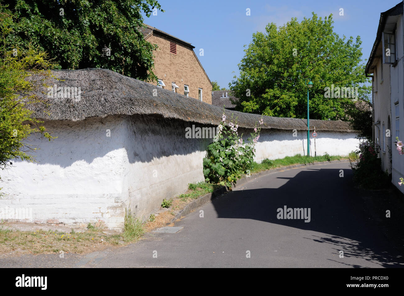Thatched Wall in Gardiners Lane, Ashwell, Hertfordshire. It is an ...