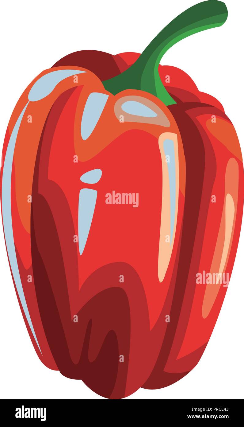 Pepper vegetable isolated Stock Vector Image & Art - Alamy