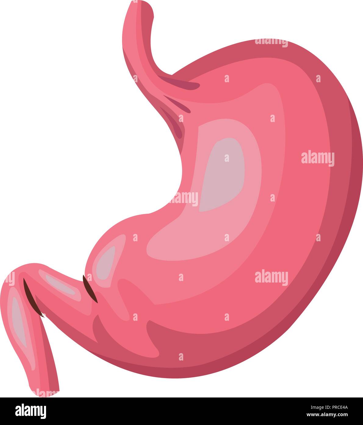 Stomach Problem Stock Vector Images - Alamy