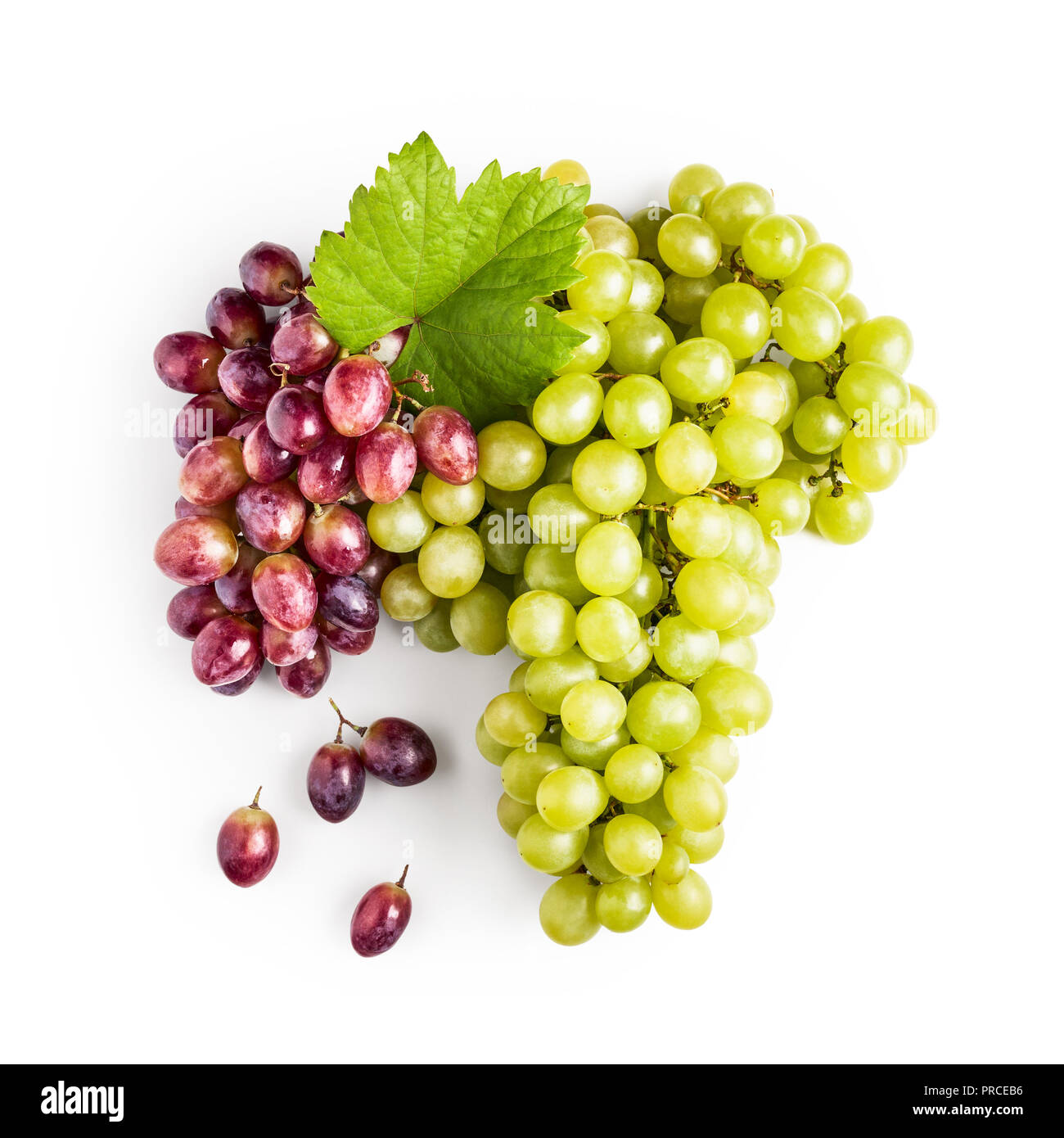 Red green vine tendril Cut Out Stock Images & Pictures - Alamy