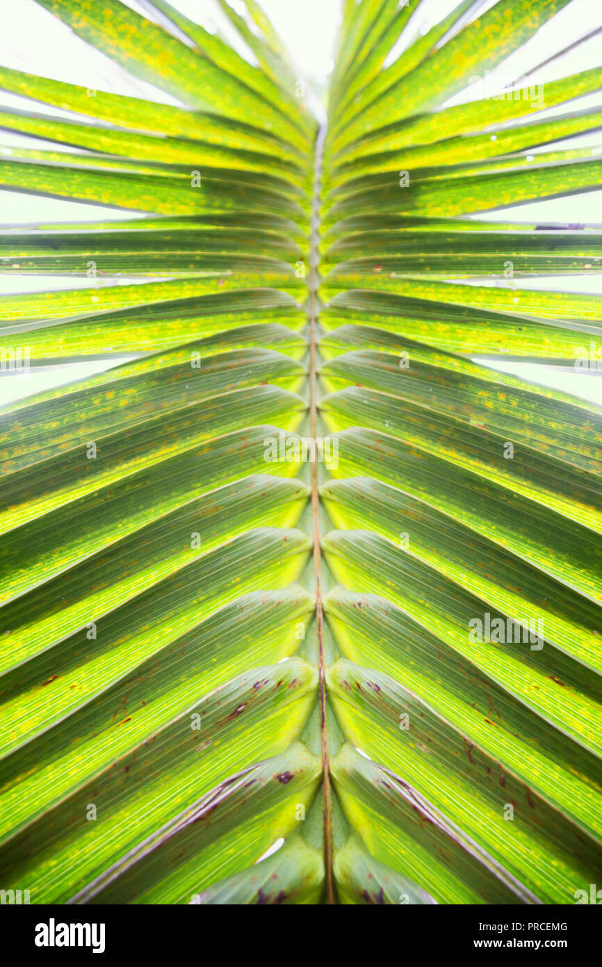 Symmetrical balance hi-res stock photography and images - Alamy