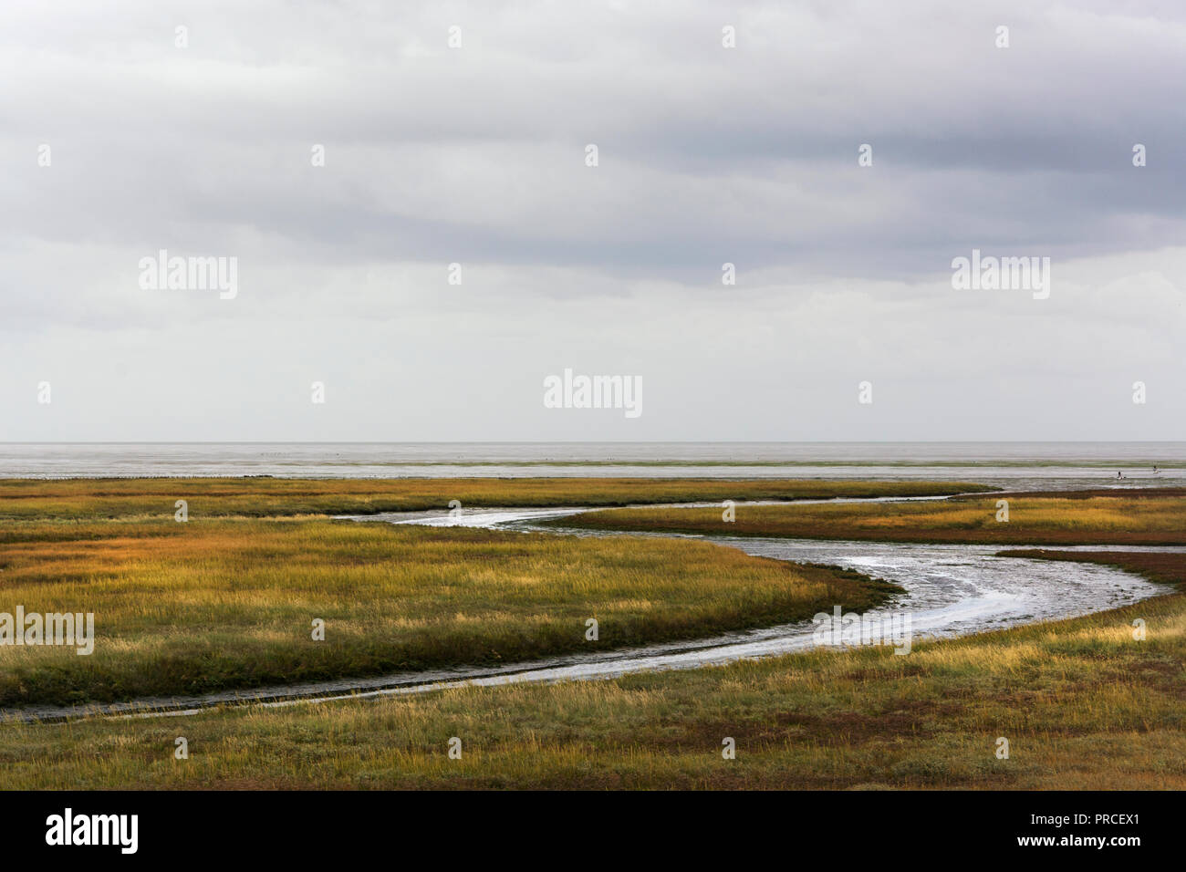 Dutch dikes hi-res stock photography and images - Alamy