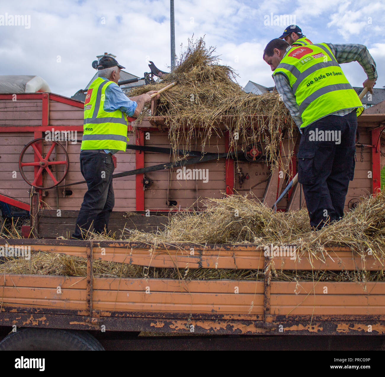 Group of men loading a threshing machine with oats using pitchforks ...