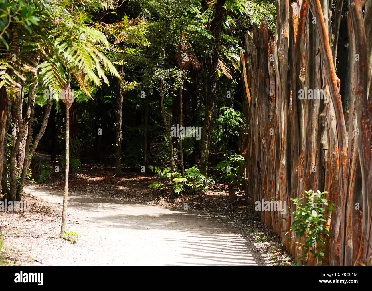 pathway with fences in the style of native Maori in Te Puia, New ...